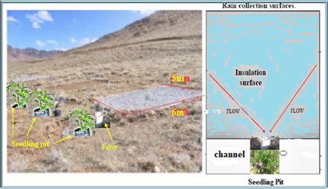 A View Of The System Of Rain Catchment Surfaces Along With The Filter