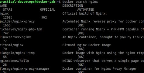 Lesson 2 Docker Images Docker Layers And Registry Practical Devsecops
