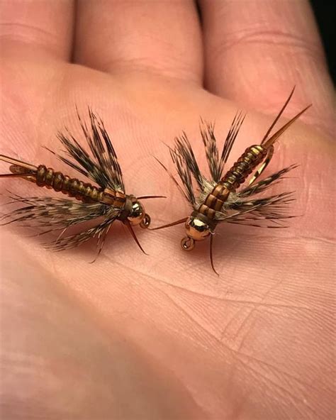 490 Best Nymph Fly Patterns Ideas In 2024 Nymph Fly Patterns Nymph Fly Tying Patterns