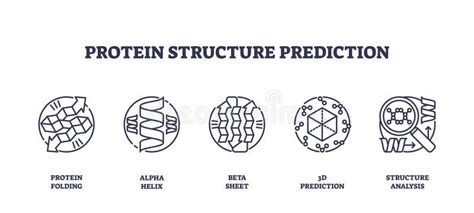 Protein Structure Prediction Icons Show Protein Folding Alpha Helix And Stock Illustration