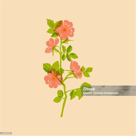 야생 장미 다채로운 귀여운 스크린 인쇄 효과 리소 인쇄 효과 벡터 일러스트레이션 리노컷에 대한 스톡 벡터 아트 및 기타 이미지 리노컷 꽃 식물 판화 일러스트레이션