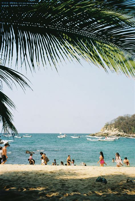 가족 시간 경치 경치가 좋은 레저 레크리에이션 리조트 멕시코 멕시코 해안 모래 모험 목가적인 물 바다 바다 경치 바다 전망 보트 타는 북미