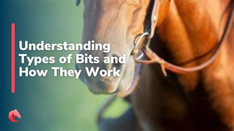 Understanding Types Of Bits And How They Work Youtube