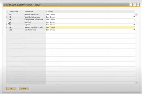 Sap Business One In Depth Review Inventory Warehouses Sublevels Multi Bin Cycle Count