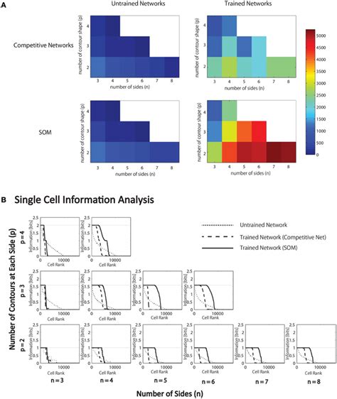 Frontiers Computational Modelling Of The Neural Representation Of Object Shape In The Primate