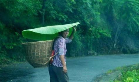 古语说“疾风暴雨，不入寡妇之门”，是什么原因？古人的智慧之谈东方养生频道东方养生