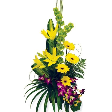 Seduction Orchids Flowersales