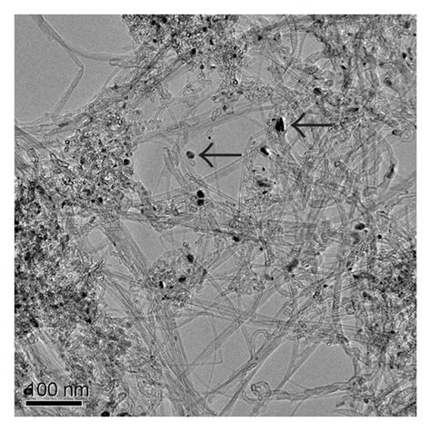 Tem Micrographs Of The Particle Samples Micrographs Of Cnf A A Cnf Download Scientific