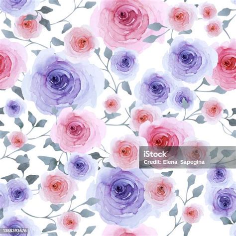 흰색 배경에 잎이있는 파란색과 분홍색 장미의 매끄러운 패턴 손으로 그린 수채화 0명에 대한 스톡 벡터 아트 및 기타 이미지 0명 결혼식 구도 Istock