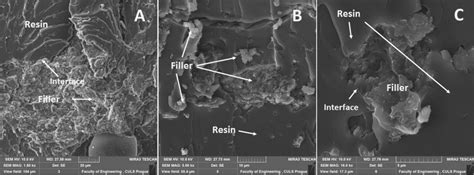 Sem Micrographs Static Tensile Test Of Composite Materials A