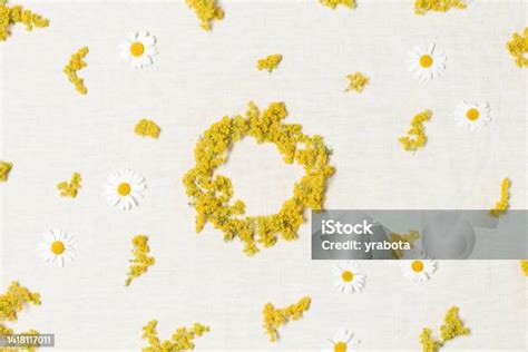 창조적 인 여름 꽃 플랫 레이 야생화의 프레임 면직물 배경에 꽃이 만발한 데이지 및 침대 짚 꽃 여름 정물 아름다운 꽃 자연 디자인 탑 뷰 0명에 대한 스톡 사진 및 기타