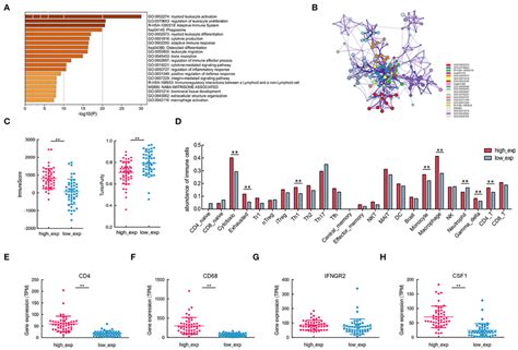 Immune Cells With Varying Csf1r Expression Patterns Associated With