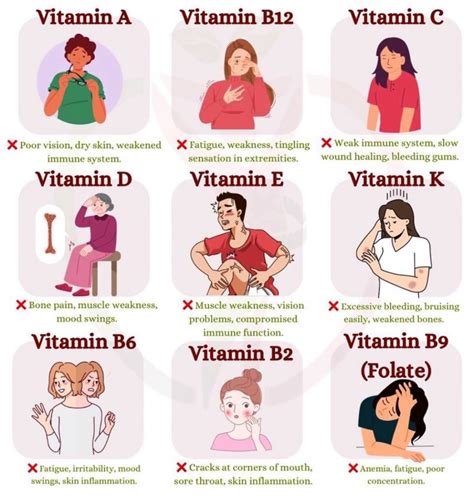 Dr Meghana N On Linkedin Vitamins Are Organic Compounds That Our