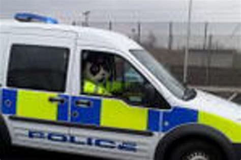 Greater Manchester Police Police Lead The World In Twitter Campaign To