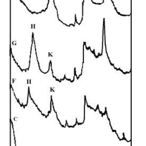 X Ray Diffraction Patterns Of