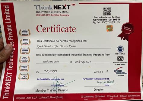 Internship Tally Accounting Learning Careergoals Ayush Namdev