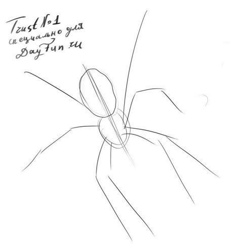 Как нарисовать паука карандашом поэтапно Паук Рисовать Рисунки