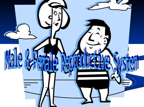 Ppt Similarities Differences Develop Very Similar Structures Of Sex