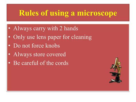 Compound Microscopepptx Photography Arts And Crafts