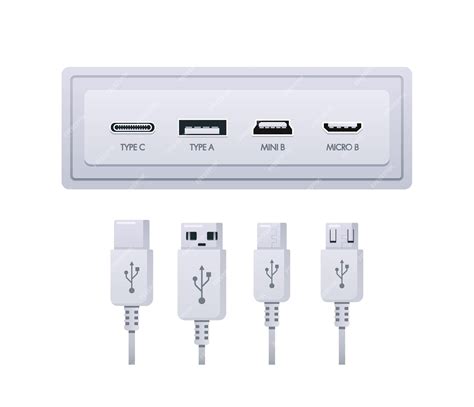 Premium Vector Usb Socket Plug Types Include Type A Type C Mini And Micro B Isolated On White