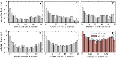 Cluster Size Distribution For A Fixed Density But Various System Sizes Download Scientific