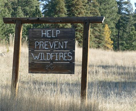 What Are The Effects Of Forest Fires On Ecosystems Facts