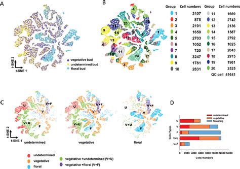 植物单细胞核转录组利用单细胞核转录组挑战非模式生物 荔枝花芽发育分化过程 知乎