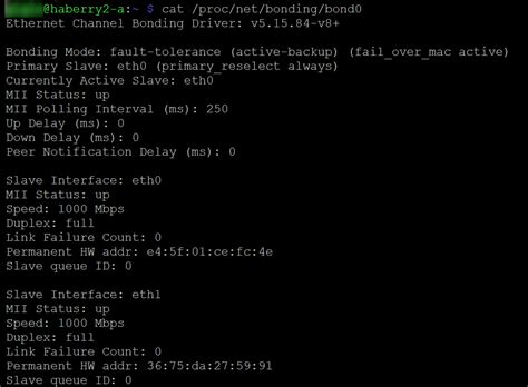 Csrlabs Io Raspberry Pi CM4 Dual Ethernet Card