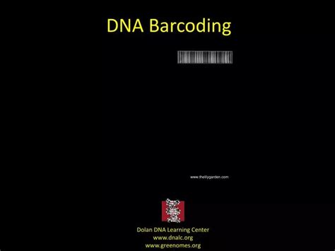 PPT DNA Barcoding PowerPoint Presentation Free Download ID