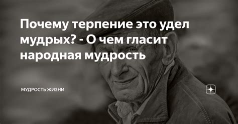Почему терпение это удел мудрых О чем гласит народная мудрость Мудрость жизни Дзен