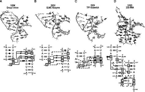 Annotation Of Tertiary Interactions In Rna Structures Reveals