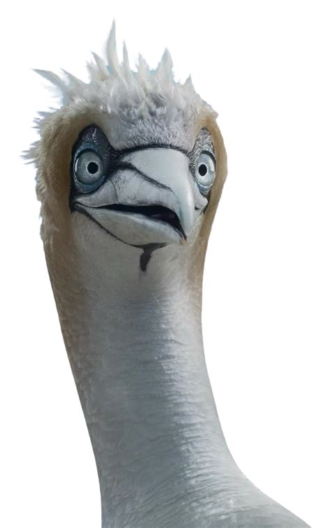 Scuttle By Dracoawesomeness On Deviantart