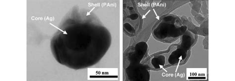 Tem Image Showing Ag Pani Core Shell Nanostructure Reprinted From Ref
