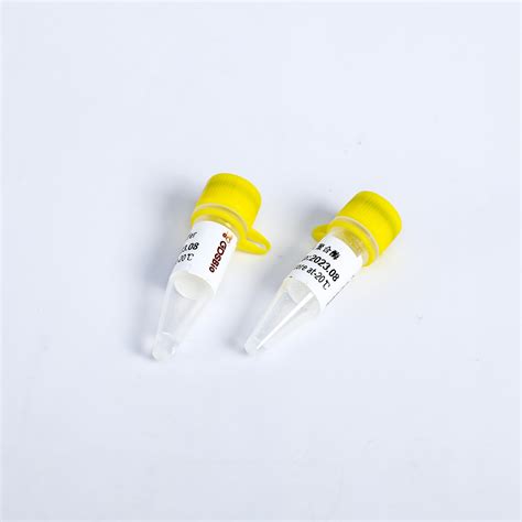 Kasp Pcr Mixplus 2x Master Mix For Snp Genotyping Gdsbio