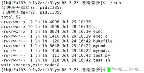 Linux 进程控制详解！！（创建、终止、等待、替换） Csdn博客