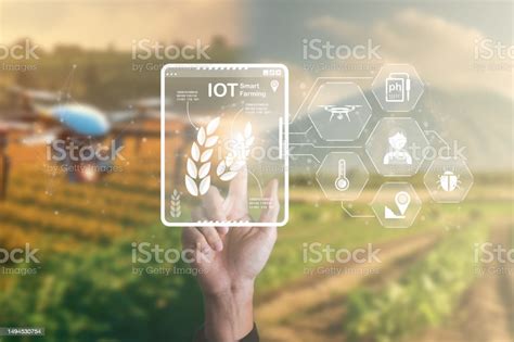 Iot Internet Of Thinking 기술을 활용한 스마트 농업과 Ai 인공지능을 이용한 분석은 농업의 생산성 향상 연구개발에 도움이 됩니다 가상현실에 대한 스톡