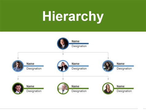 Hierarchy Ppt Powerpoint Presentation Infographic Template Aids