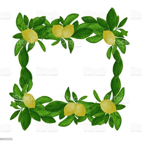 레몬과 잎 수채화 사각형 장식 래스터 프레임입니다 꽃 초대 인사말 카드 텍스트 공간이있는 엽서 수채화 디자인 요소 레모네이드 스탠드에 대한 스톡 벡터 아트 및 기타 이미지