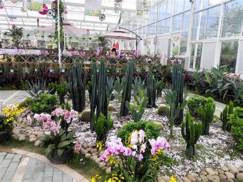 惠州羅浮山那裏花開主題公園 每日頭條