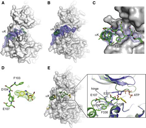 The Cdk9 Tail Determines The Reaction Pathway Of Positive Transcription