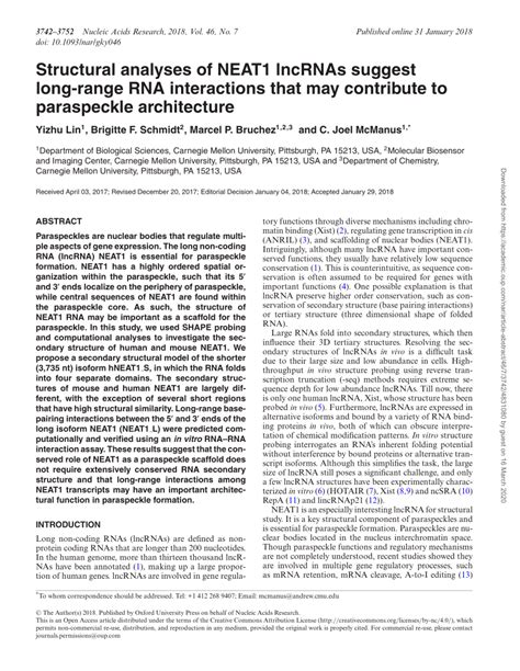 Pdf Structural Analyses Of Neat1 Lncrnas Suggest Long Range Rna Interactions That May