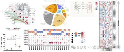 Ggplot2优雅绘制环状相关性热图 完美解决文本添加 腾讯云开发者社区 腾讯云