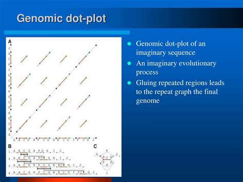 Ppt De Novo Repeat Classification And Fragment Assembly Powerpoint