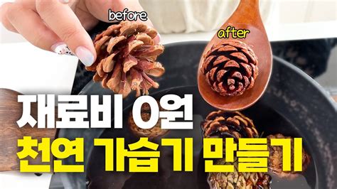 0원으로 만드는 천연 가습기 꿀팁 겨울철 실내 습기 건조 조절 솔방울 가습기 효과 Youtube