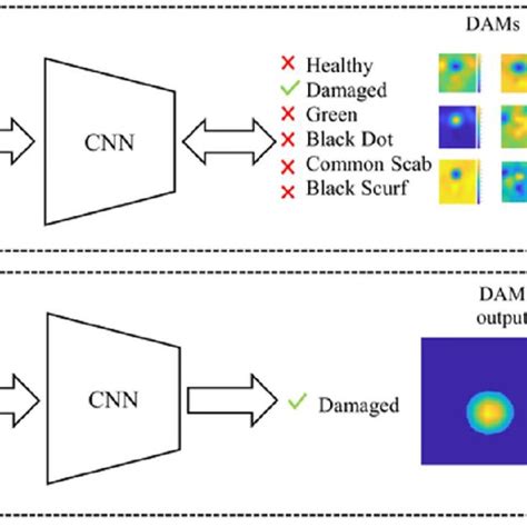 For Image Classification A Standard Cnn Structure Is Seen Download Scientific Diagram