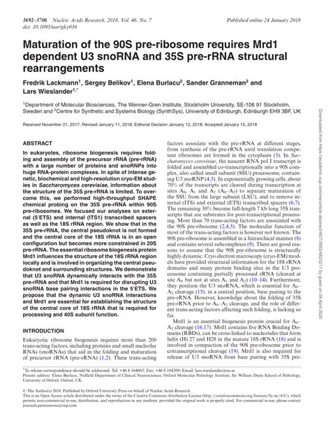 Pdf Maturation Of The 90s Pre Ribosome Requires Mrd1 Dependent U3 Snorna And 35s Pre Rrna