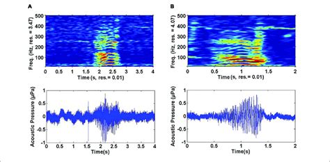 Example Of Spectrograms Showing Variability For Non Song Sounds A