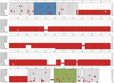 The Central Regions Of The Inverted Repeat Sequences 1 To 8 Their Download Scientific Diagram