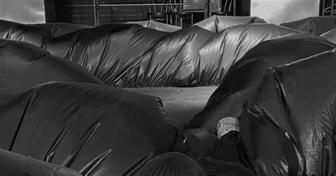 სტალკერი თბილისში ᐉ ღონისძიებების აფიშა Yolo