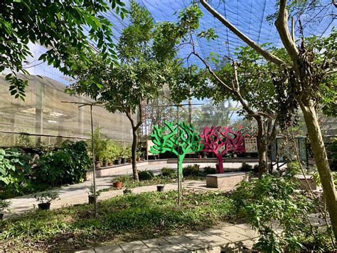 花蓮亞泥生態園區，台灣最大蝴蝶園、竹節蟲園區 開心papago的吃喝玩樂 Udn部落格